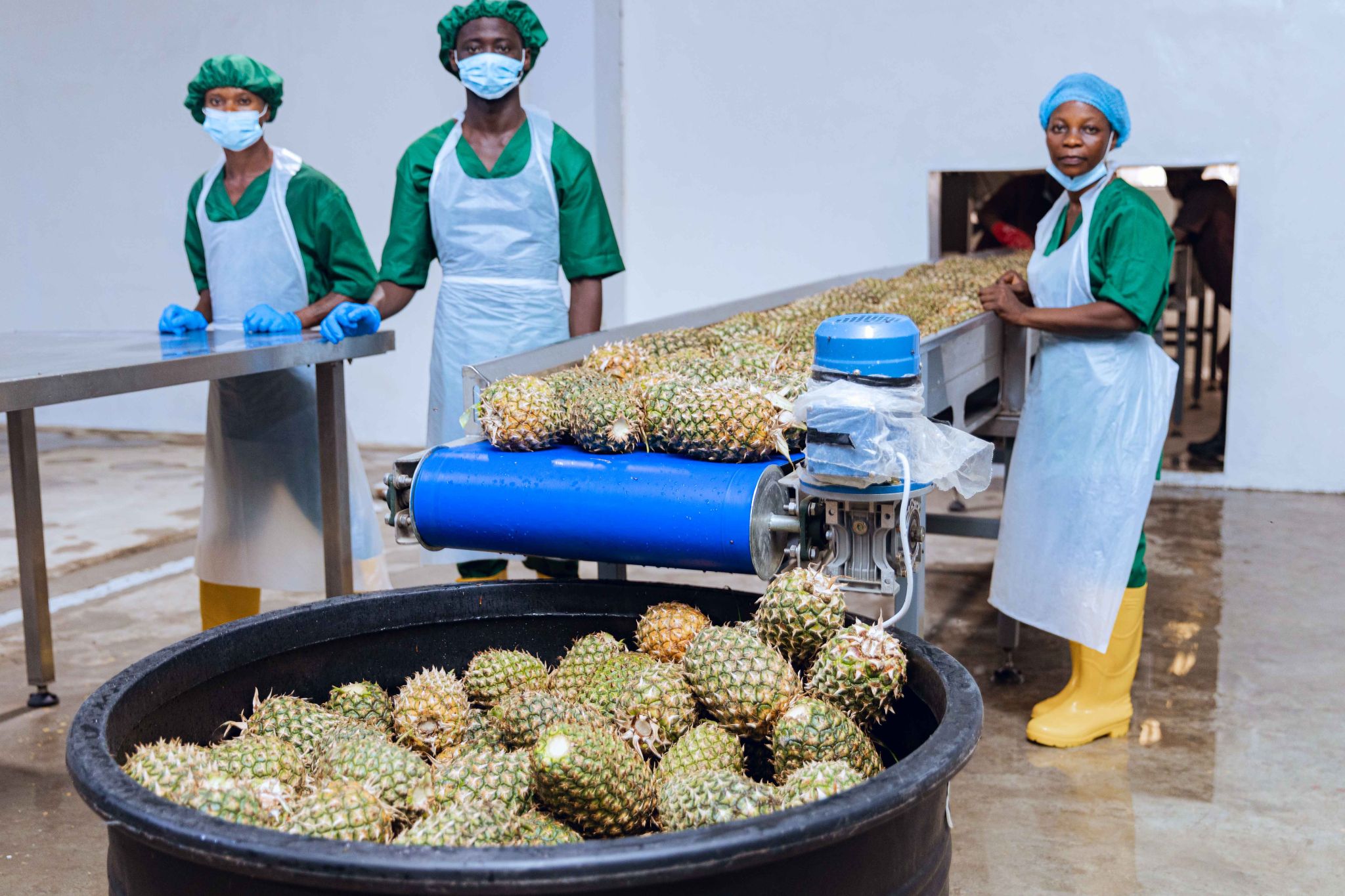 Monumental: ReelFruit commissions Nigeria’s largest dried fruit ...